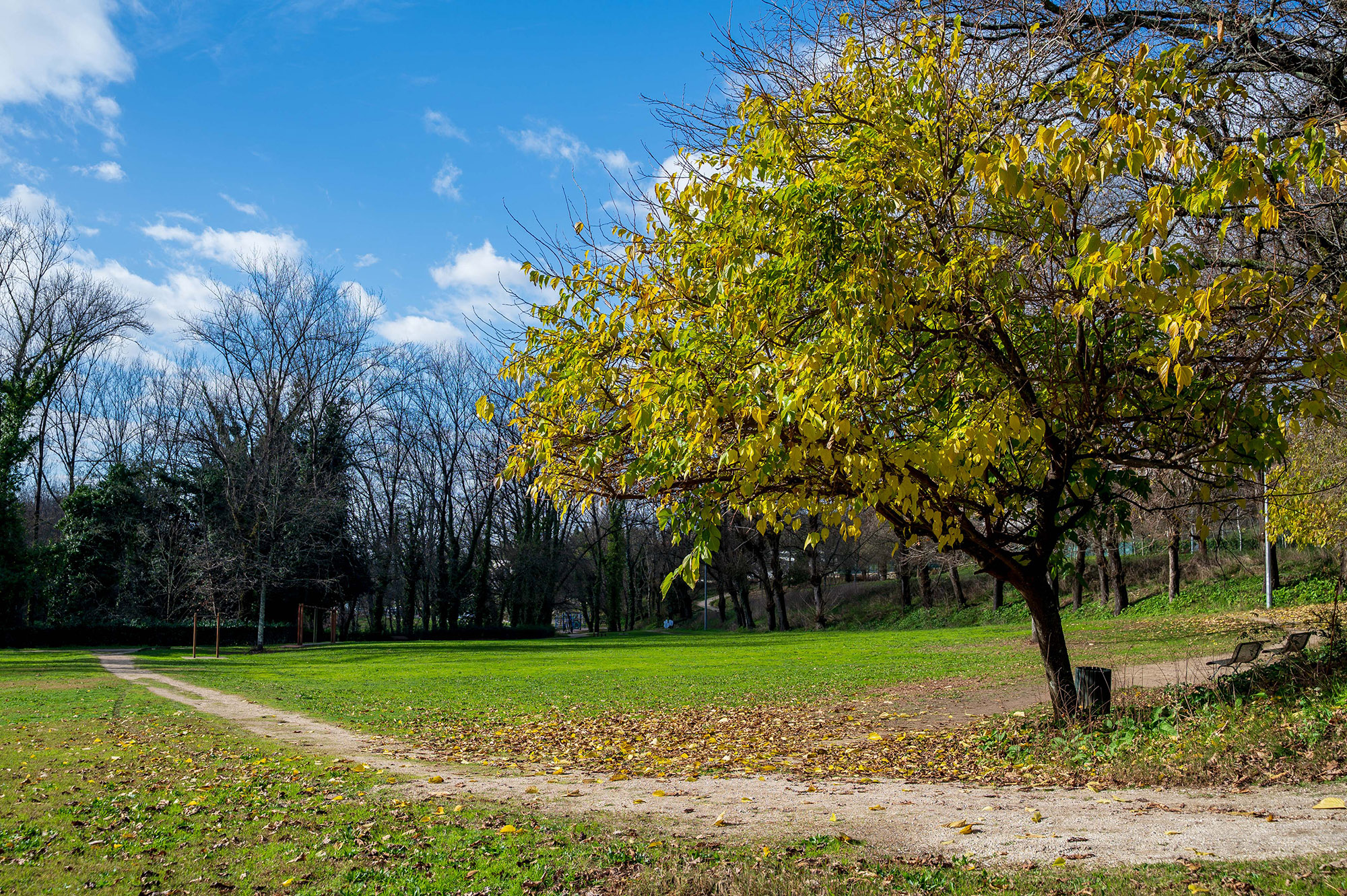 “Ser Capital Verde Europeia não significa que Guimarães seja hoje um ...